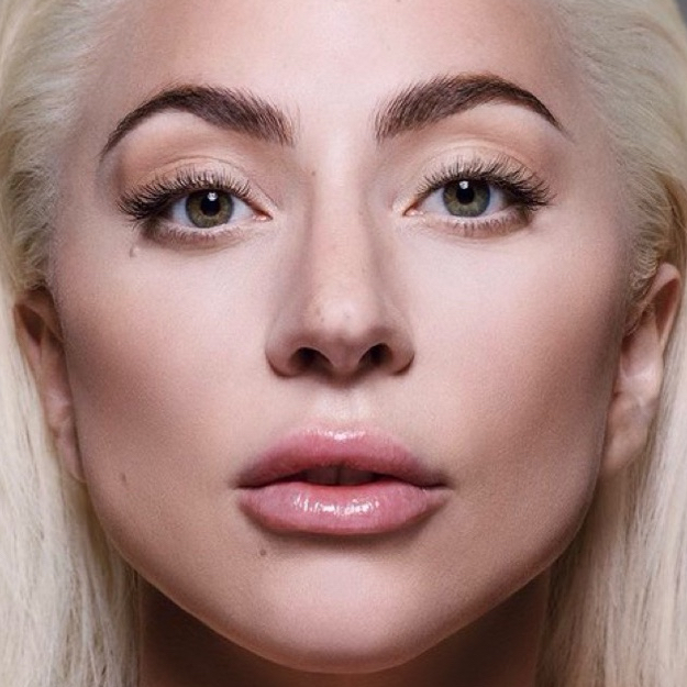 Chat with Lady Gaga - Flipped.Chat - AI Character Chatbot